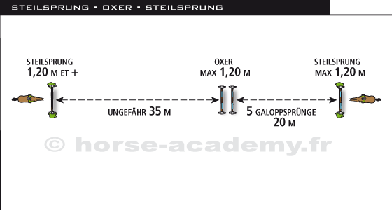 Kontrolle und Einteilen der Bewegungsphasen am Hindernis | Horse ...